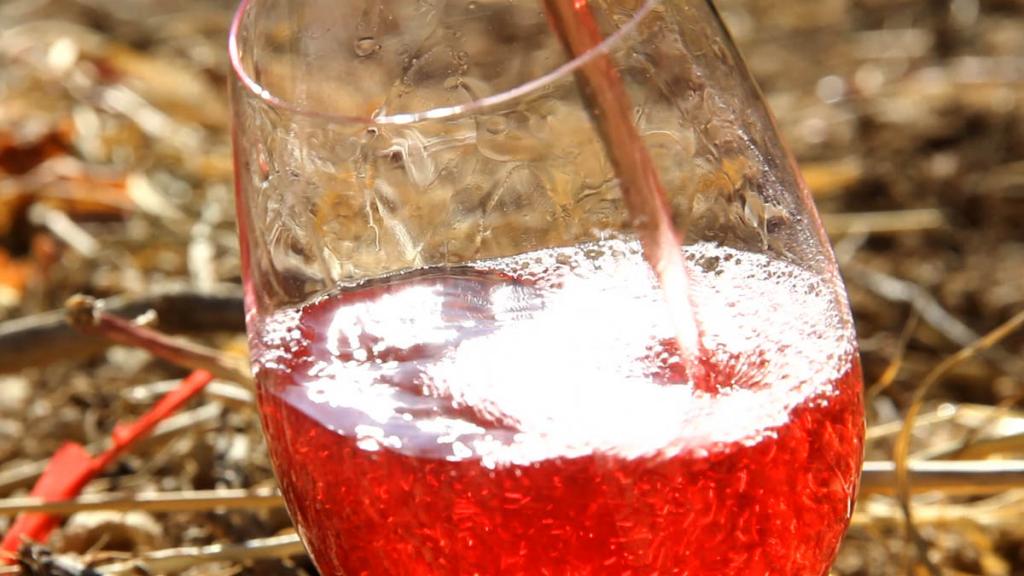 Wine – Check in creta